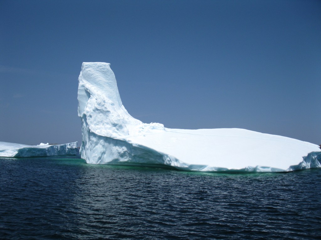 Top 10 things to do in Newfoundland & Labrador | finelinetravels