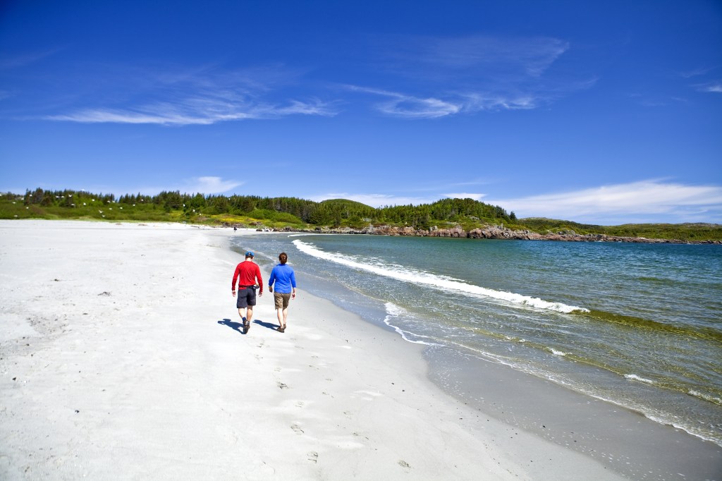 Top 10 things to do in Newfoundland & Labrador | finelinetravels